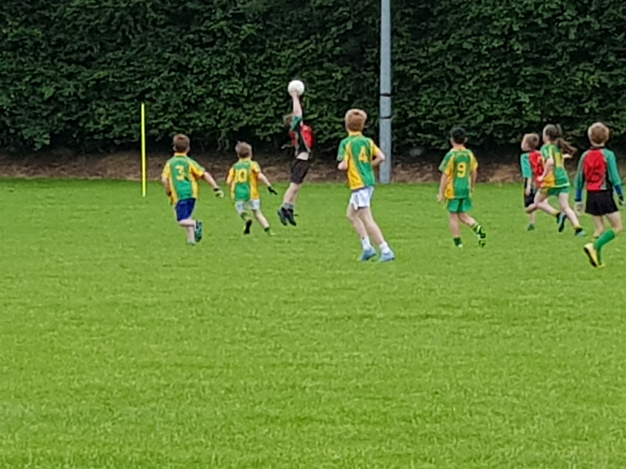 U10’s V Hollywood – Ballymore Eustace GAA & LGFA Club