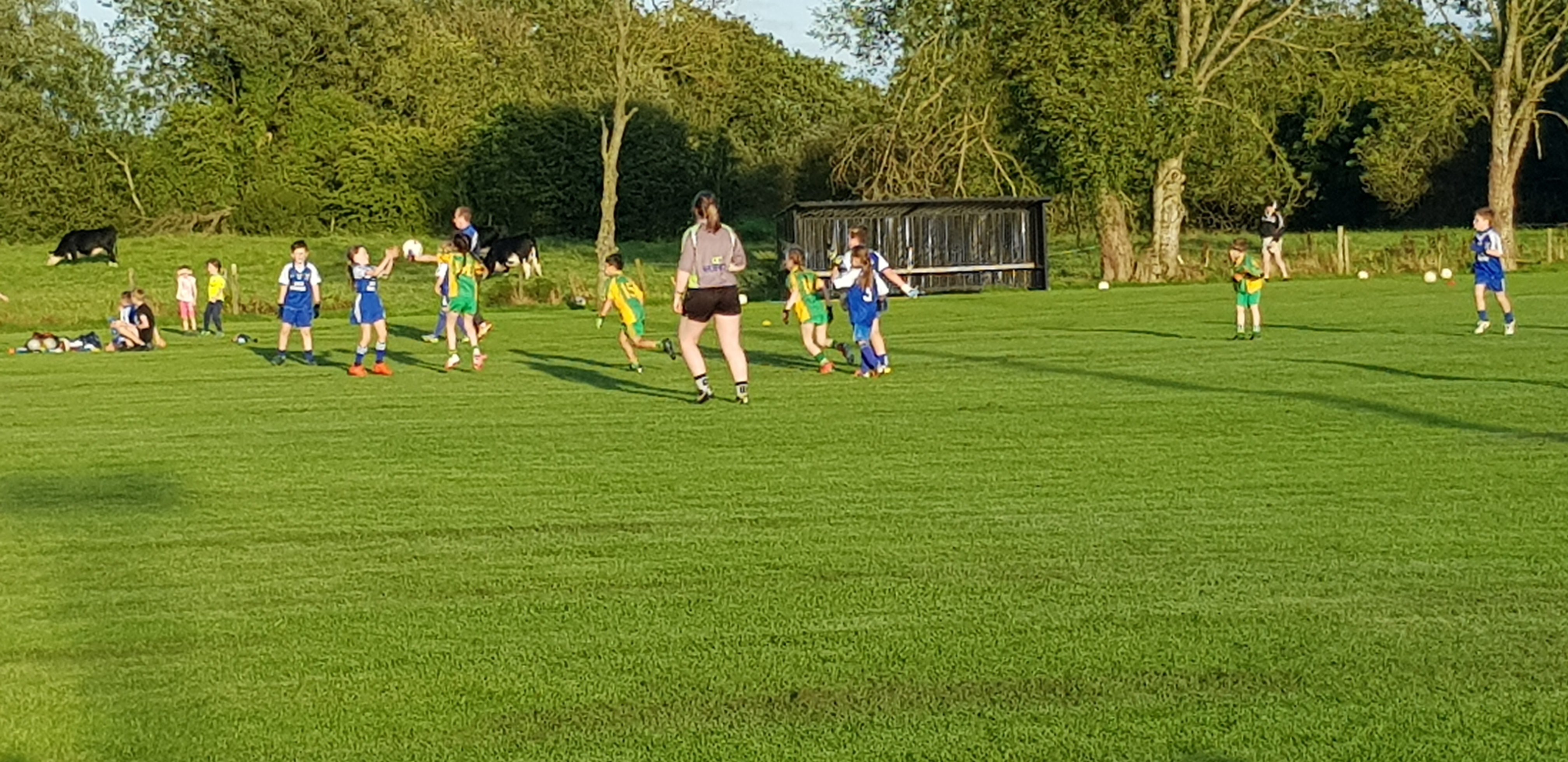 U9s V Robertstown – Ballymore Eustace GAA & LGFA Club