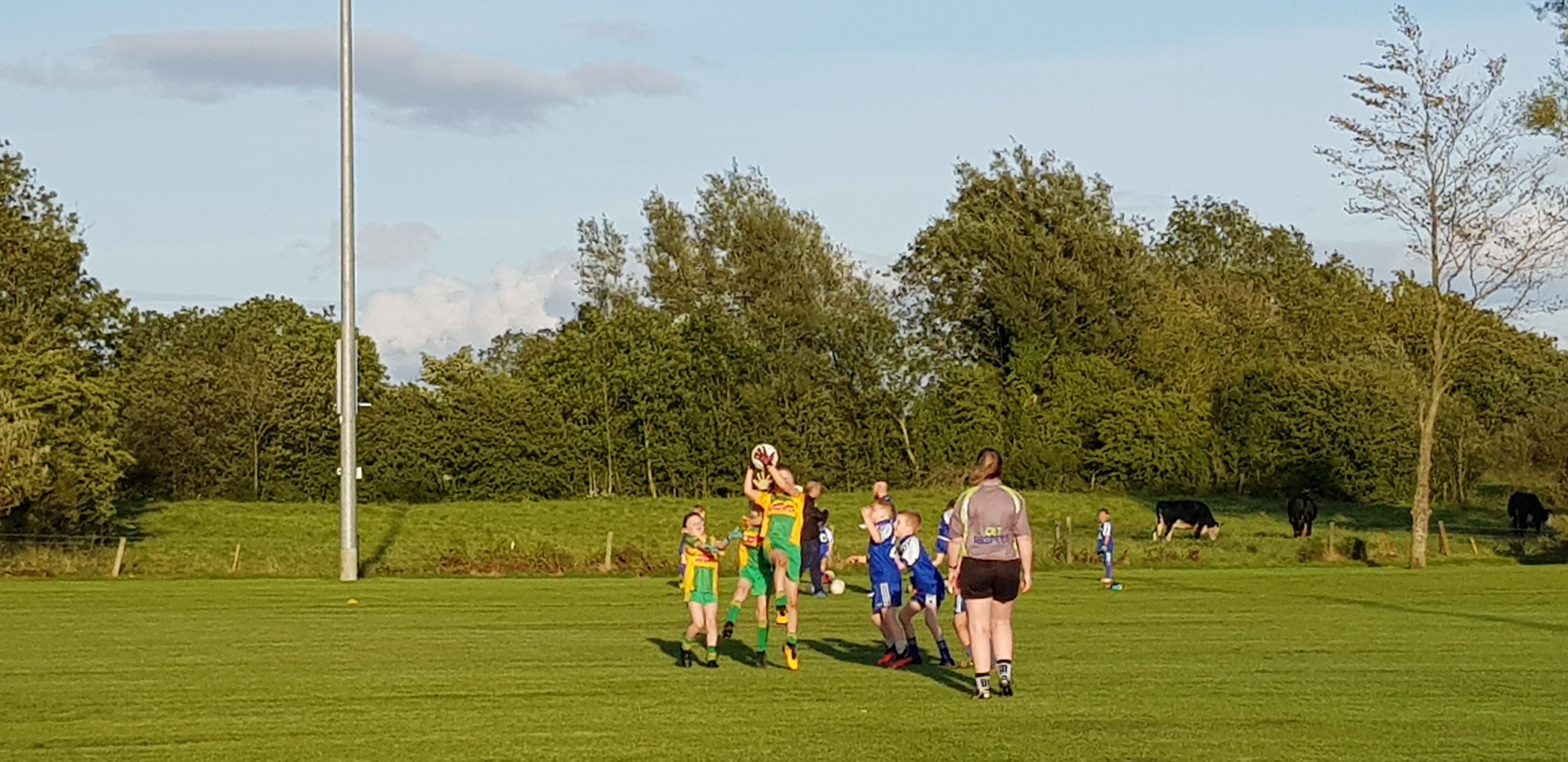 U9s V Robertstown – Ballymore Eustace GAA & LGFA Club